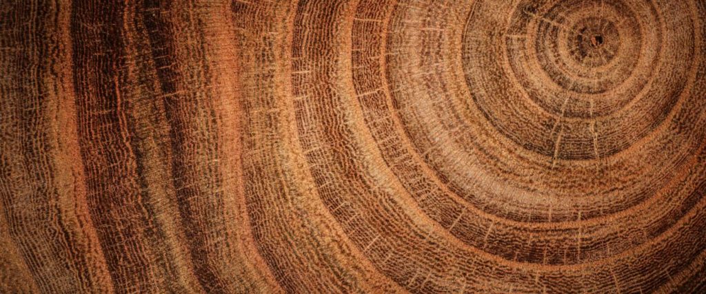 Claims Clearinghouses | See the Waystar Difference | Waystar